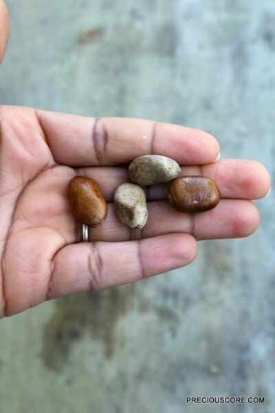 CHICKEN PEPPER SOUP | Precious Core