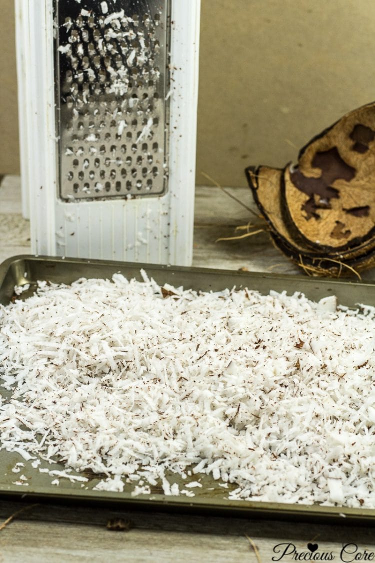 COCONUT SWEET - TOASTED COCONUT FLAKES | Precious Core