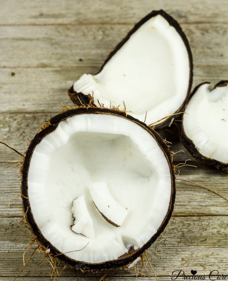 COCONUT SWEET - TOASTED COCONUT FLAKES | Precious Core