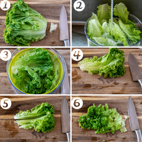 Lettuce Salad
