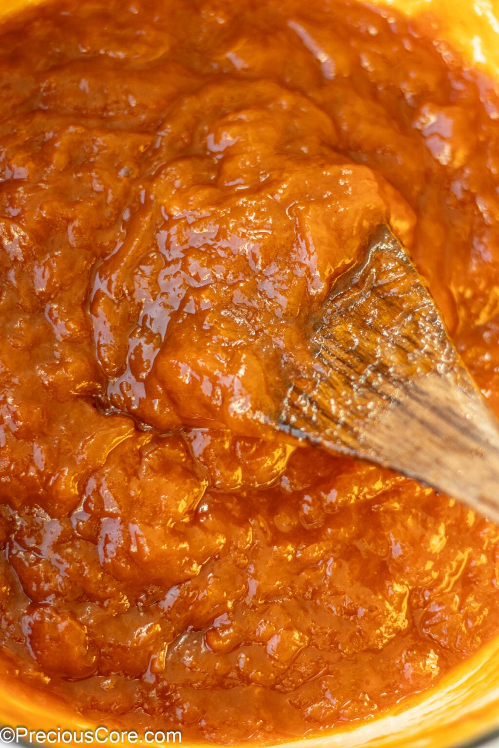 Apricot Preserves | Precious Core